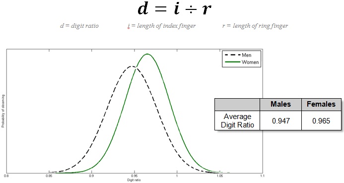 Digit Ratios – www.MrAscience.com