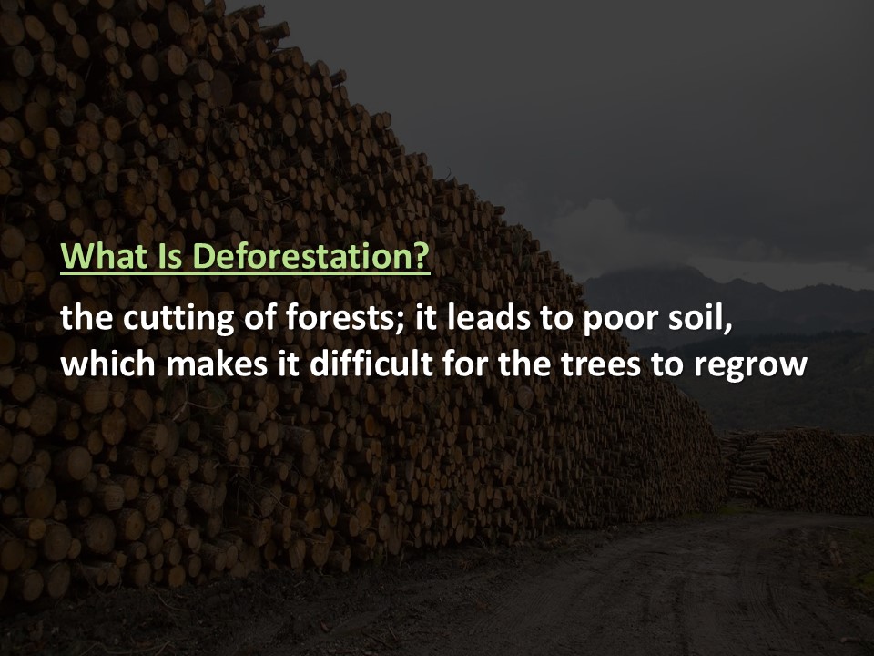 Deforestation Lecture – www.MrAscience.com