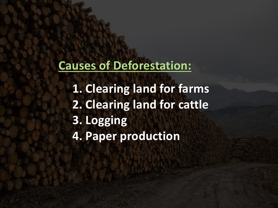 Deforestation Lecture – www.MrAscience.com