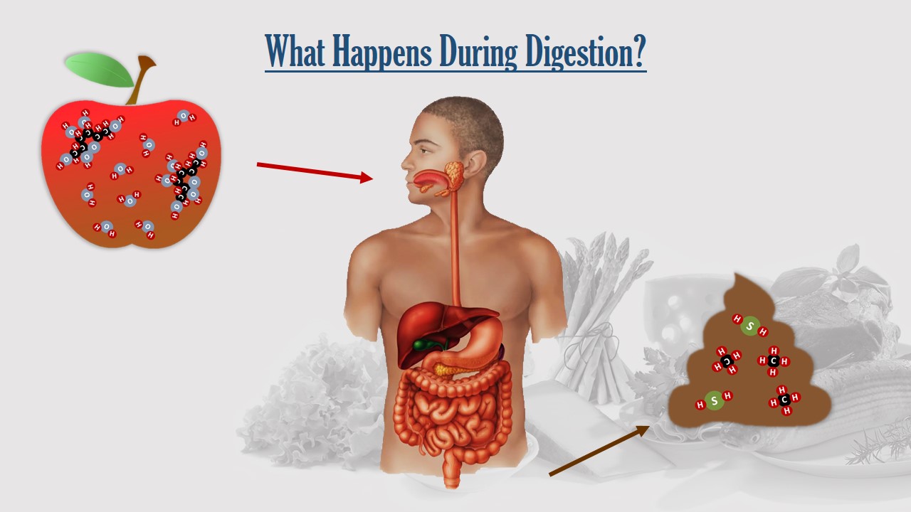 The Chemistry of Food – Day 1 – www.MrAscience.com