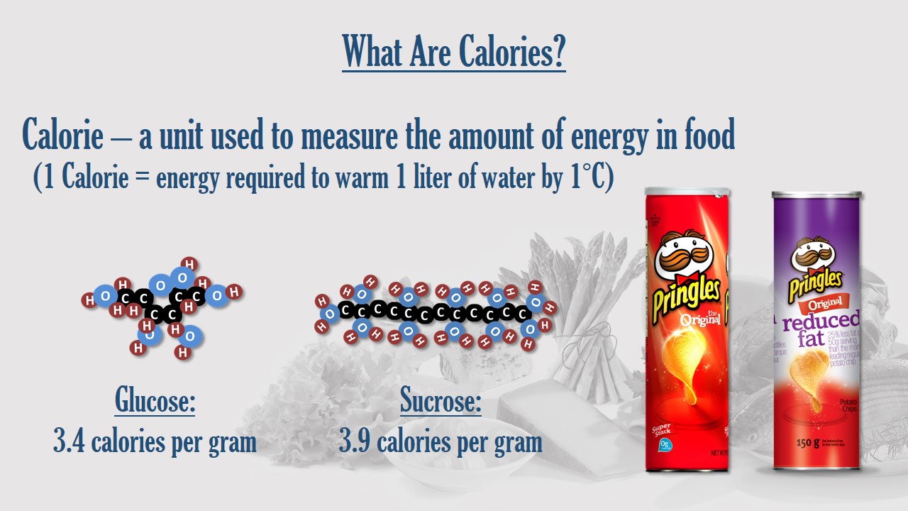 The Chemistry of Food – Day 1 – www.MrAscience.com