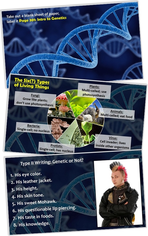 Intro to Genetics – www.MrAscience.com
