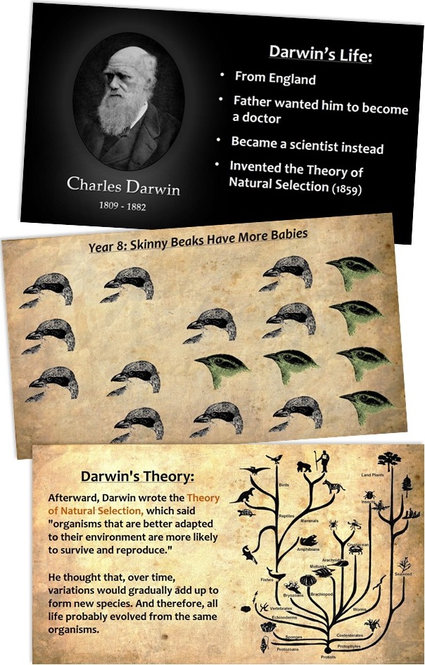Charles Darwin Theory Of Natural Selection Natural Selection Biology